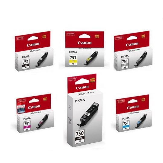 PGI-750 XL Black and CLI-751 XL Black Cyan Magenta Yellow Grey Canon ...